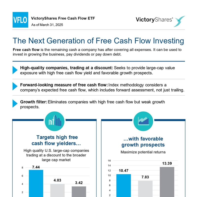 VFLO Fact Sheet FP | VettaFi